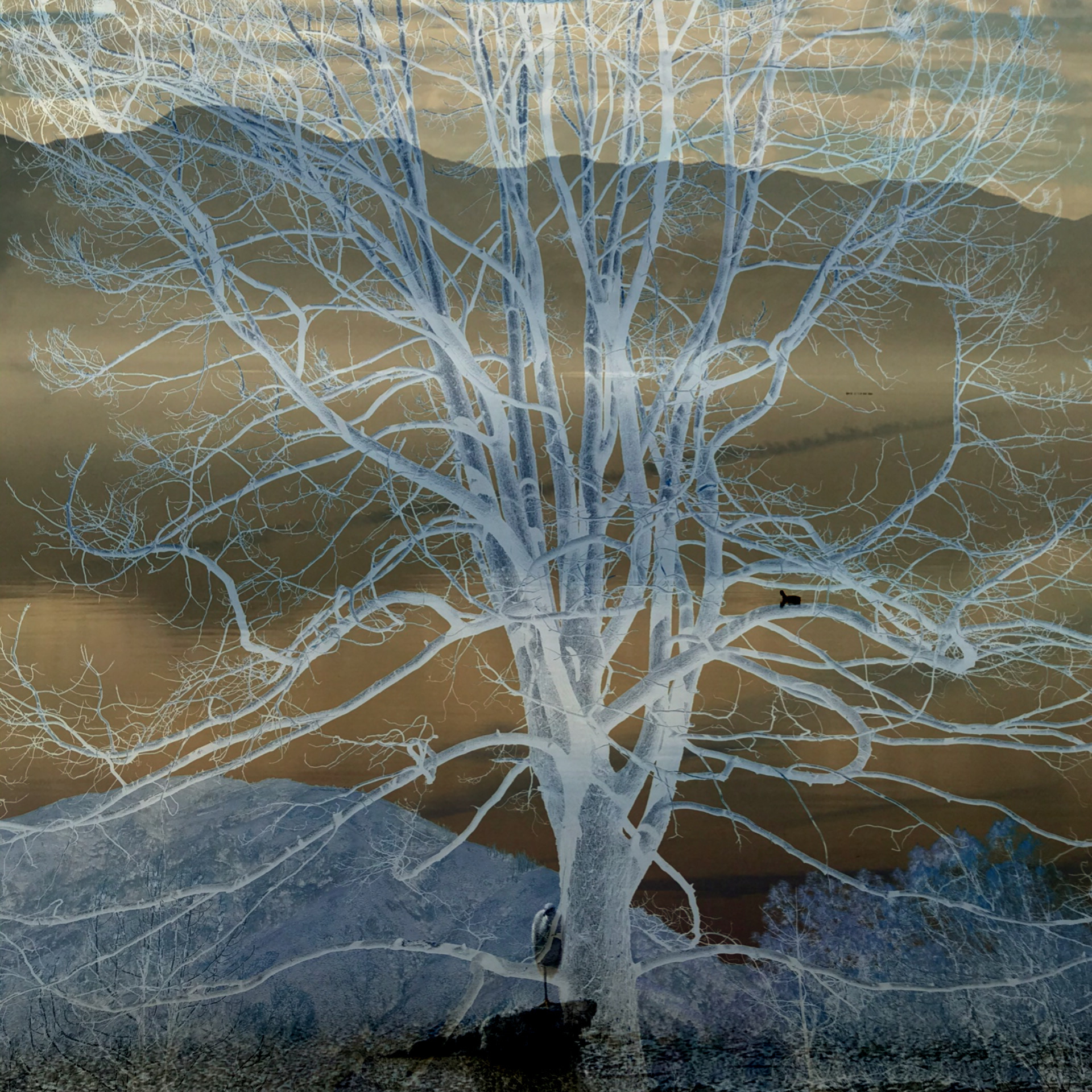 Nocturne Stitches: A Requiem, Digital Art – Quin de la Mer, Artist