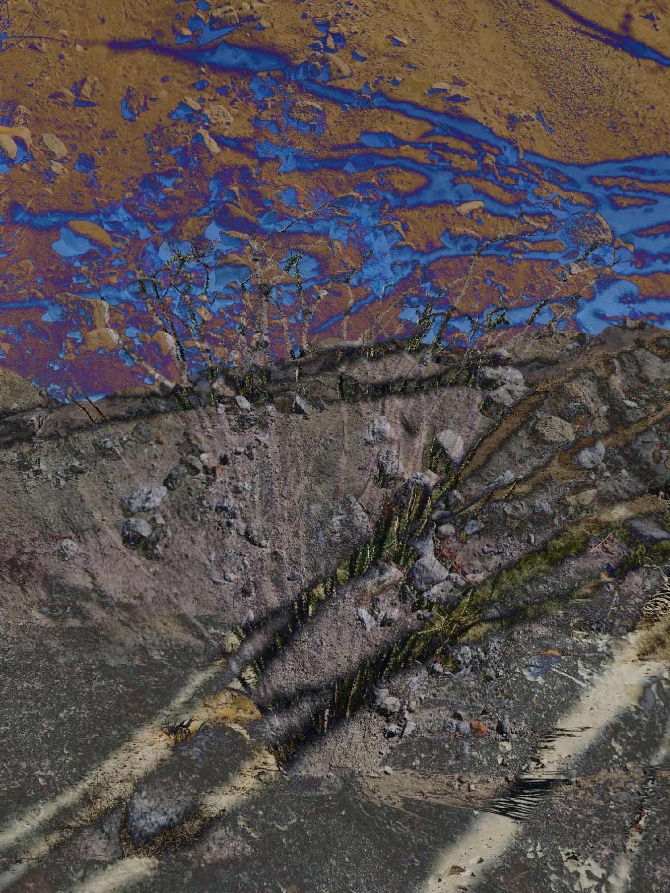 Nocturne Stitches: A Requiem, Digital Art – Quin de la Mer, Artist